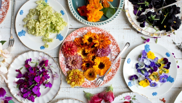 Essbare Blumen – lecker und schön! 105 Fotos