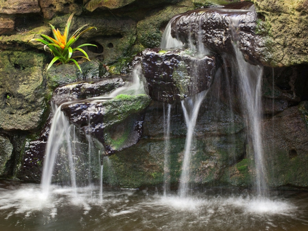 Teich mit Wasserfall: 31 tolle Bilder! - Archzine.net