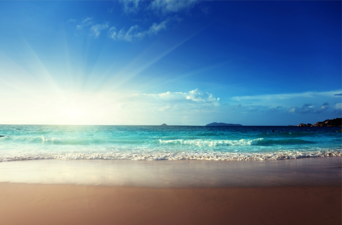 Sonne und Strand: 65 tolle Fotos!
