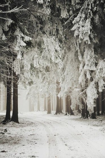 80 coole Winterbilder zum Inspirieren!