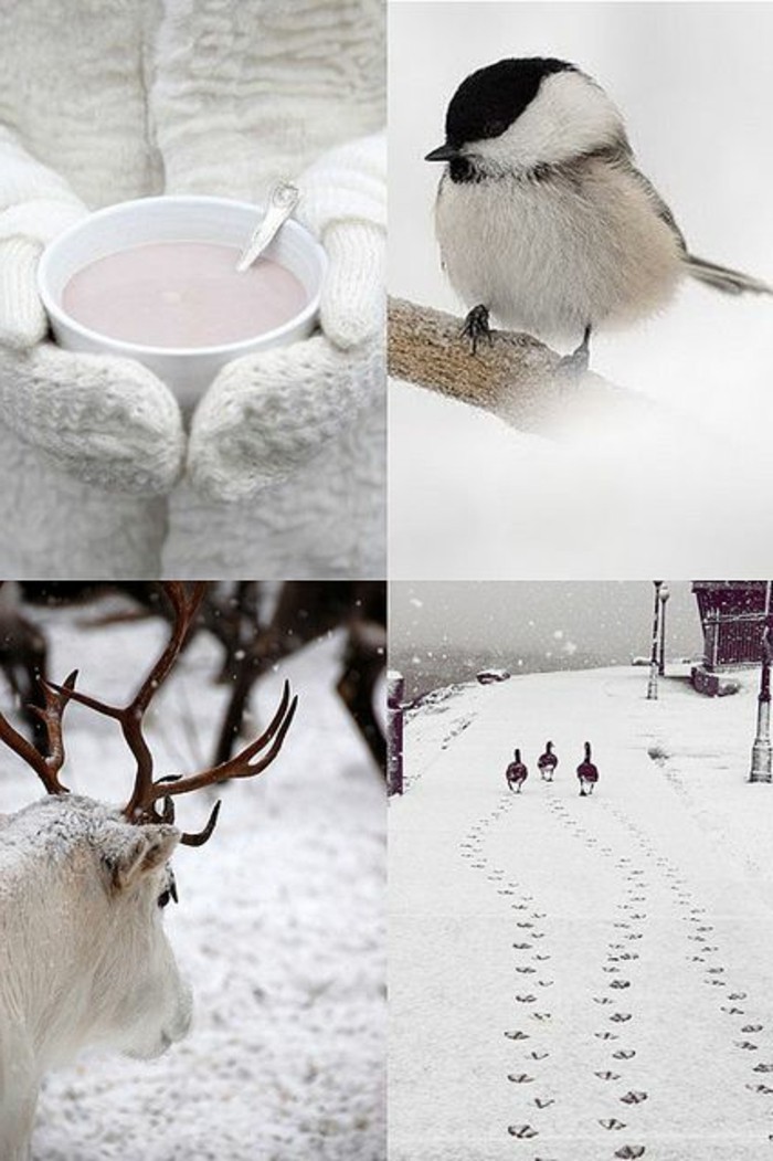 80 coole Winterbilder zum Inspirieren! - ArchZine