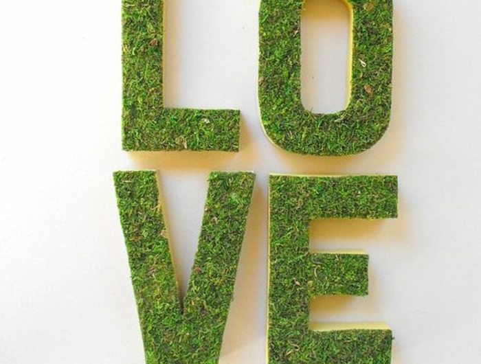 Moos für die Wand: Der ehrliche Werkstatt-Guide für dein Projekt