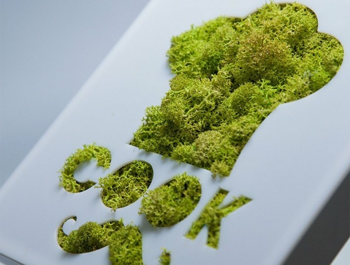 Deko mit Moos – über 50 Ideen wie Frische zu Hause zu bringen