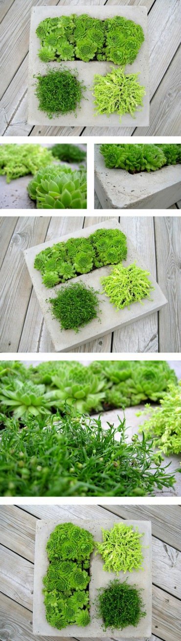 Deko mit Moos – über 50 Ideen wie Frische zu Hause zu bringen