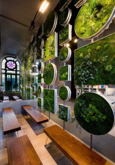 Deko mit Moos – über 50 Ideen wie Frische zu Hause zu bringen