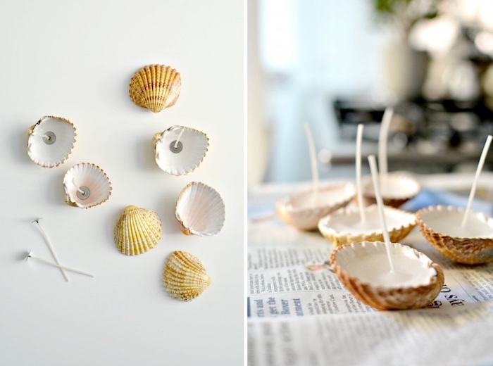 Muscheln bearbeiten wie ein Profi: Dein Werkstatt-Guide für ...