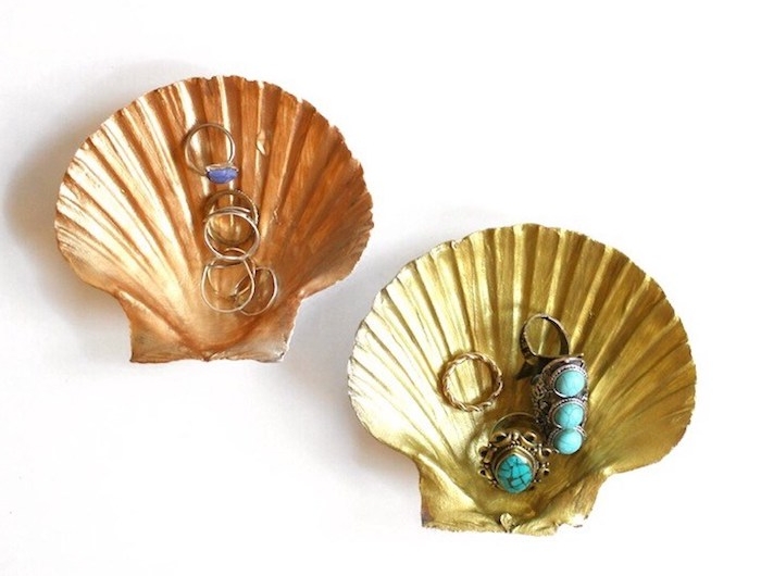 Muscheln bearbeiten wie ein Profi: Dein Werkstatt-Guide für ...