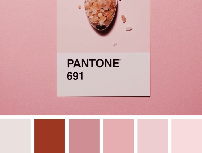 Altrosa an der Wand: So wird’s garantiert nicht kitschig – Dein Profi-Guide