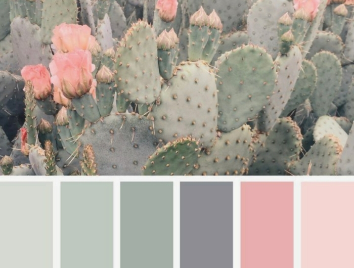 Altrosa an der Wand: So wird’s garantiert nicht kitschig – Dein Profi-Guide