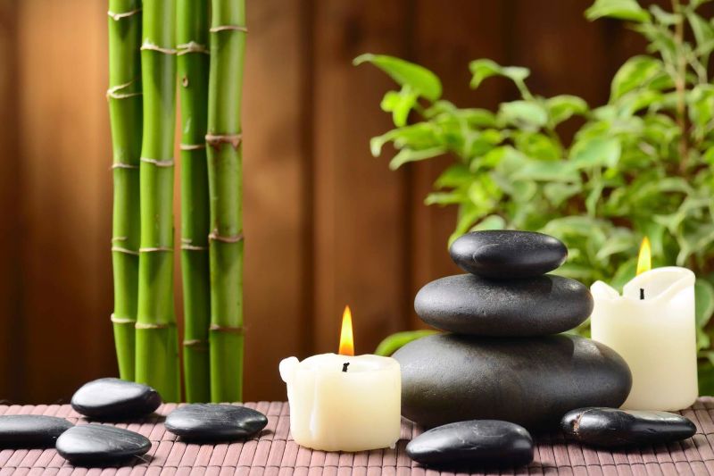 Feng Shui Pflanzen