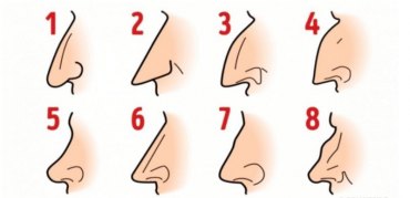 Welche Bedeutung haben Nasenformen?